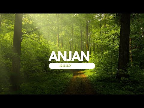 Anjan tree Indian Blackwood (Anjan tree) Hardwickia binata इसके पत्तो ...