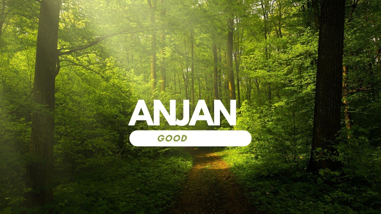 Anjan tree Indian Blackwood (Anjan tree) Hardwickia binata इसके पत्तो ...