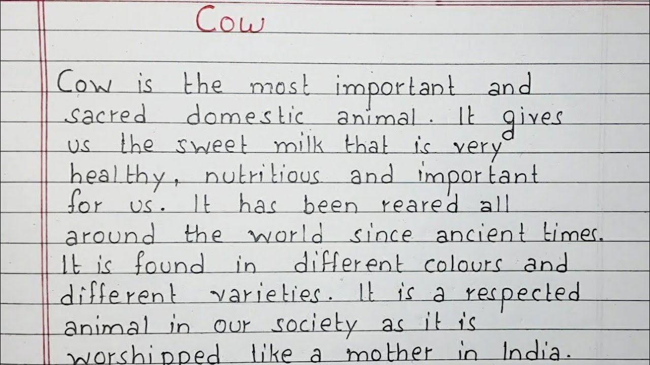 Write a short essay on Cow | Essay | English - YouTube
