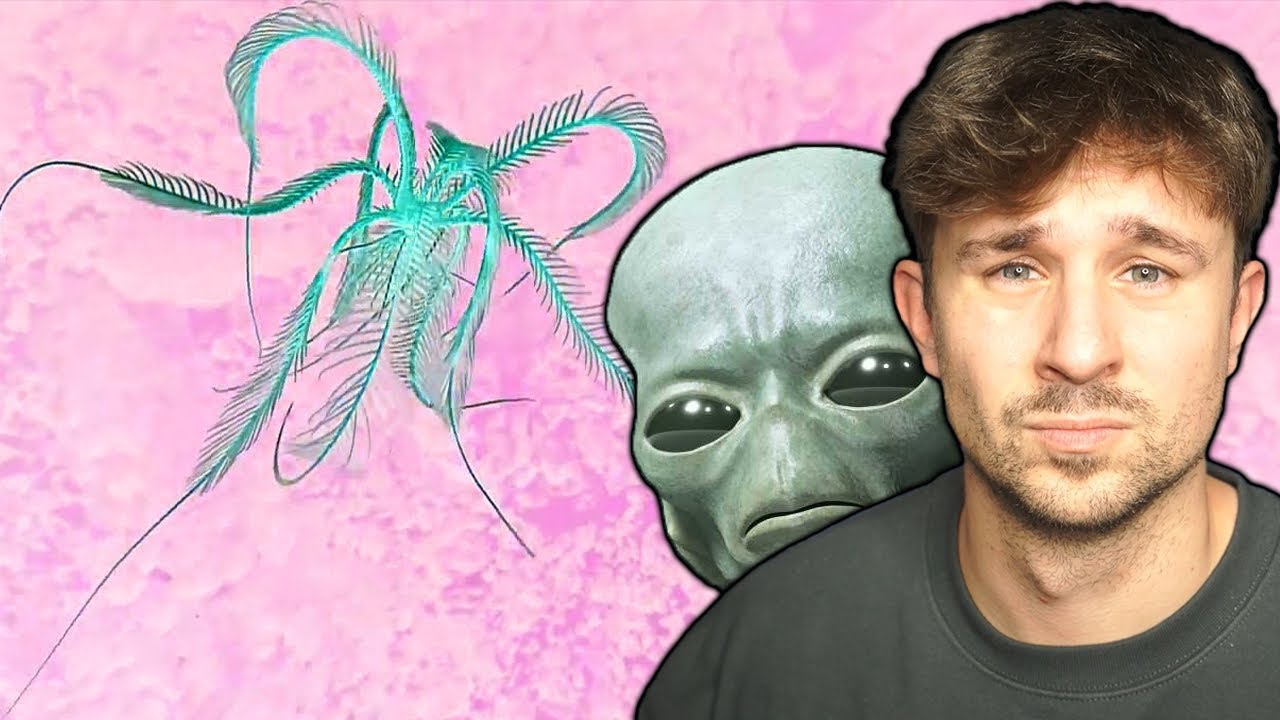 SOMETHING BRAND NEW! - YouTube