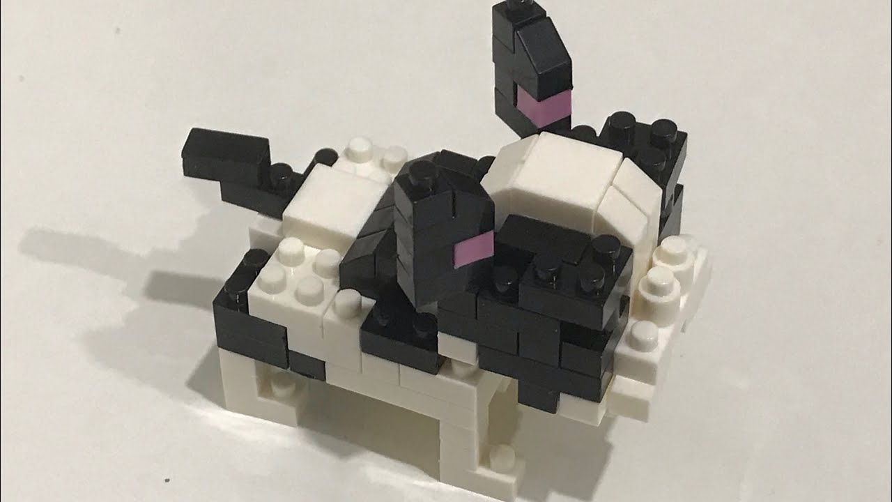 Mini Blocks Bulldog - Timelapse - YouTube