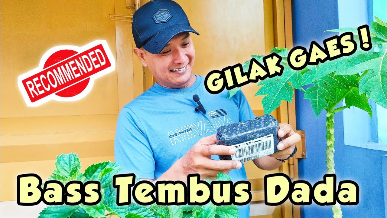 Pengen Punya Subwoofer Aktif Bass Tembus Ulu Ati. Terjangkau & Jamin ...