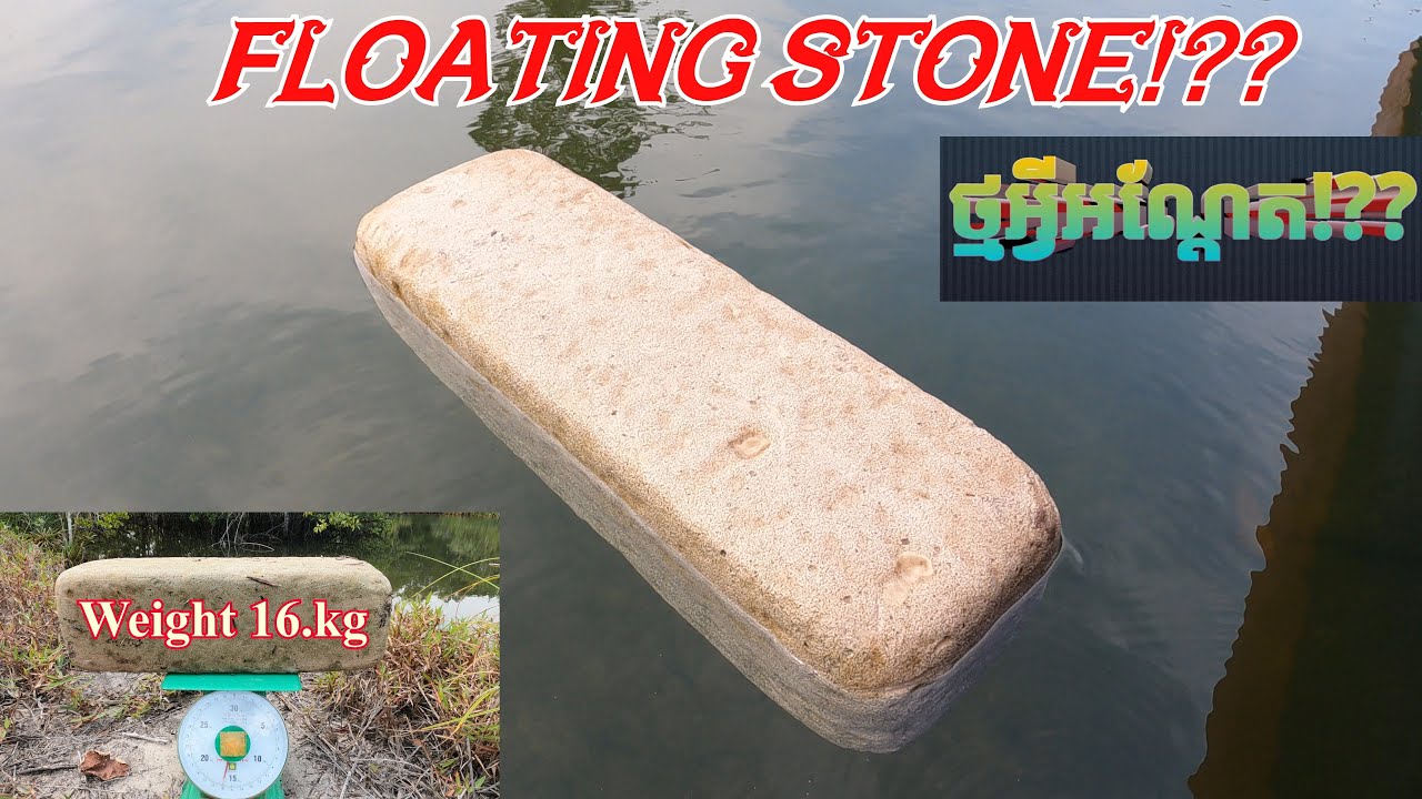 Amazing - Found Strange Floating Stone in Mangrove Forest. - YouTube