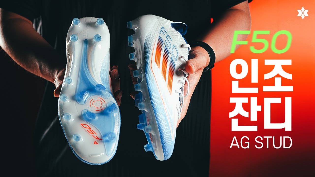 네이버 인플루언서