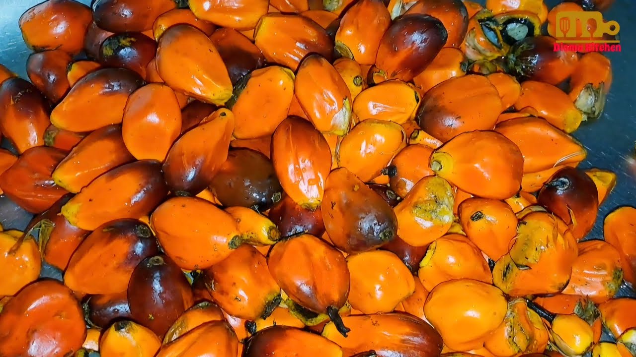 How to process palm fruit for banga soup/ofe akwu1 - YouTube