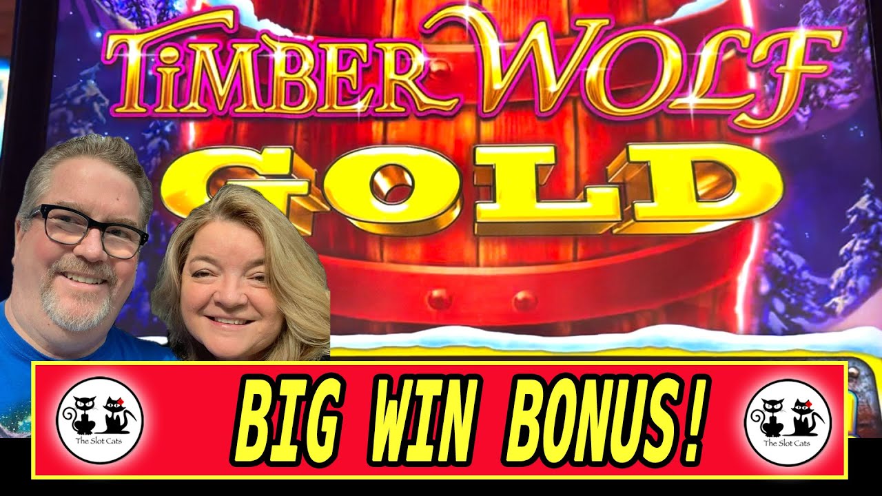TRIPLE POWER TIMBERWOLF & BUFFALO SLOT MACHINE! BIG BONUS WINS! #slots ...