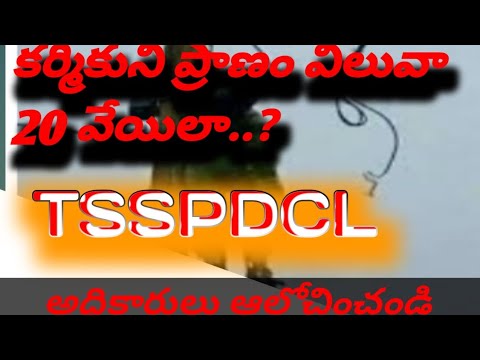 కార్మికుల ప్రాణాల విలువా 20వేలు చూడండి! #electricity #employee #tsspdcl ...