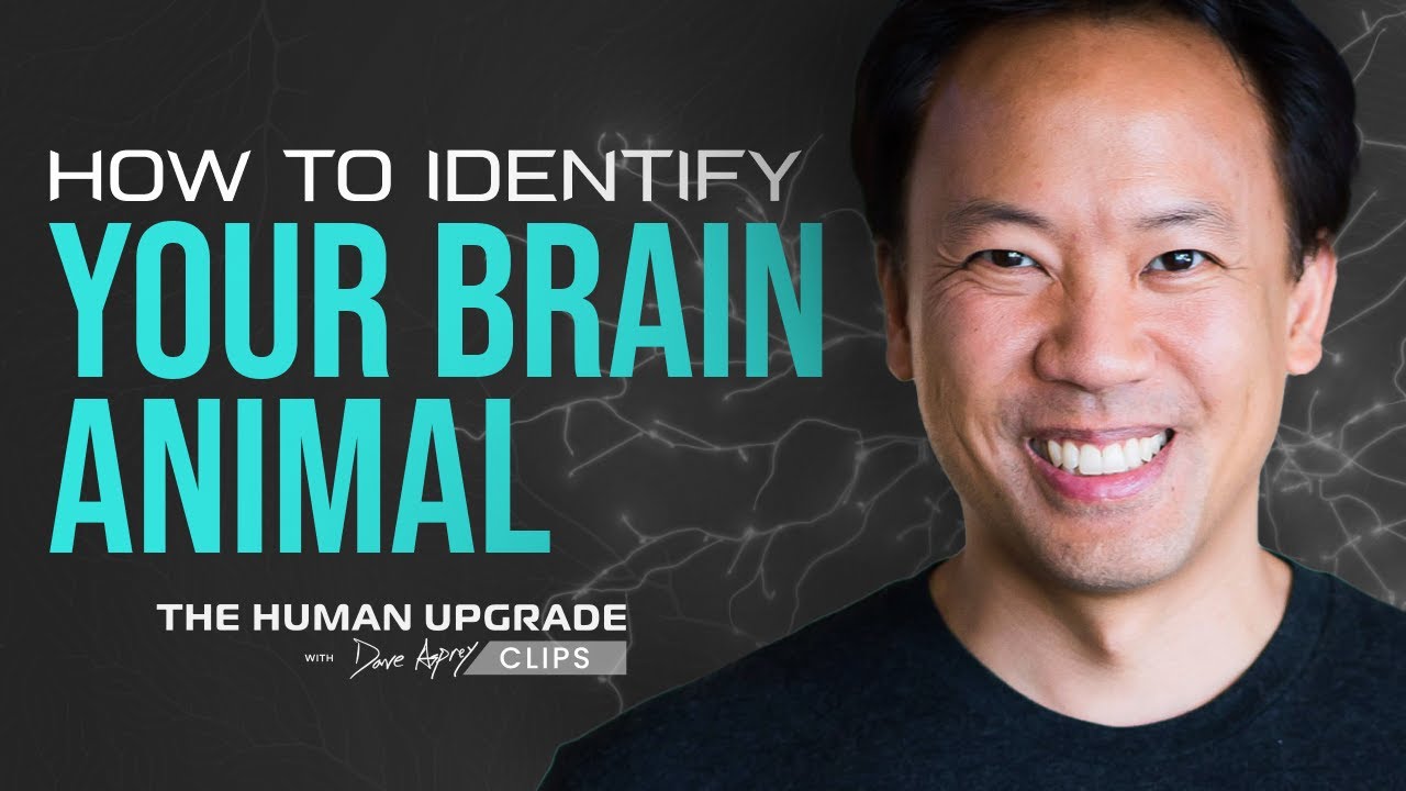 How To Identify Your Brain Animal | Jim Kwik x Dave Asprey - YouTube
