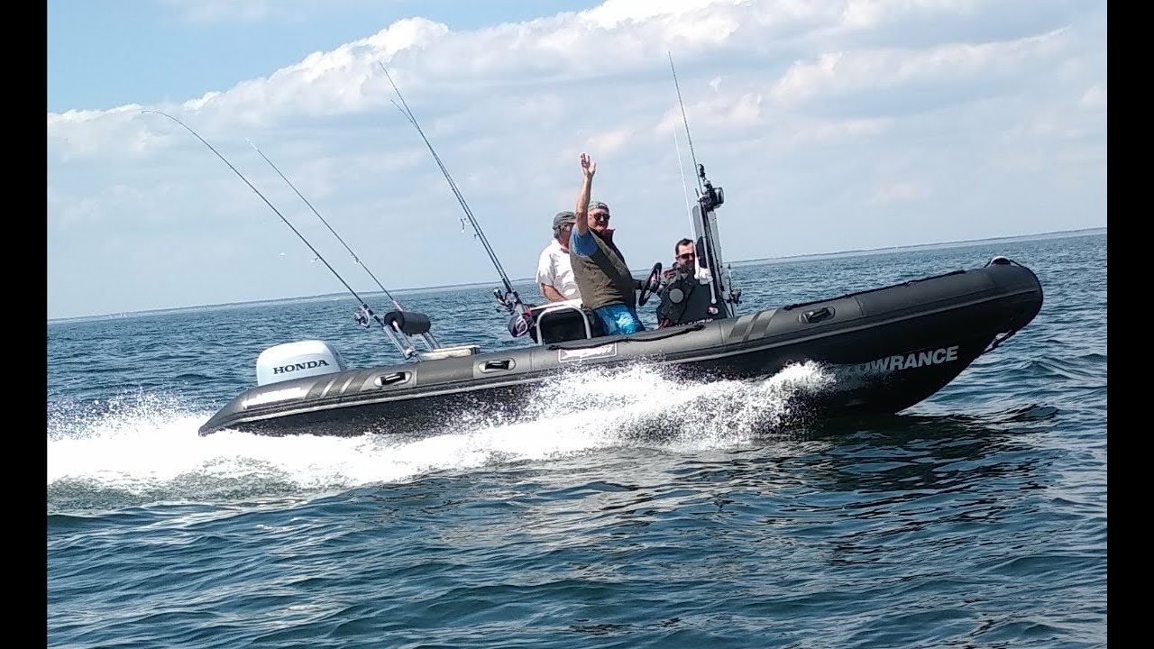 PETOLE !!! DU FISH ET DES DAUPHINS PAR CENTAINES - YouTube