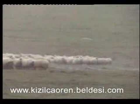 kizilcaoren yaylalar