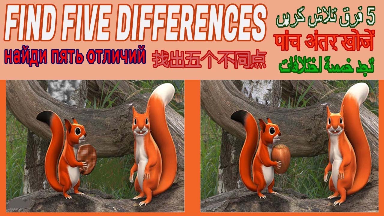 Find five difference | 5 فرق تلاش کریں۔ |найди 5 отличий |5 अंतर खोजें | تجد 5 الاختلافات | 找出5 ...