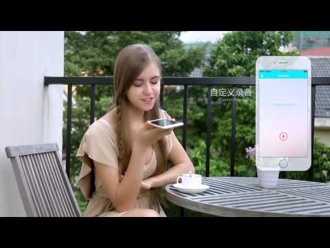 PETWANT Smartfeeder PF-103 - YouTube