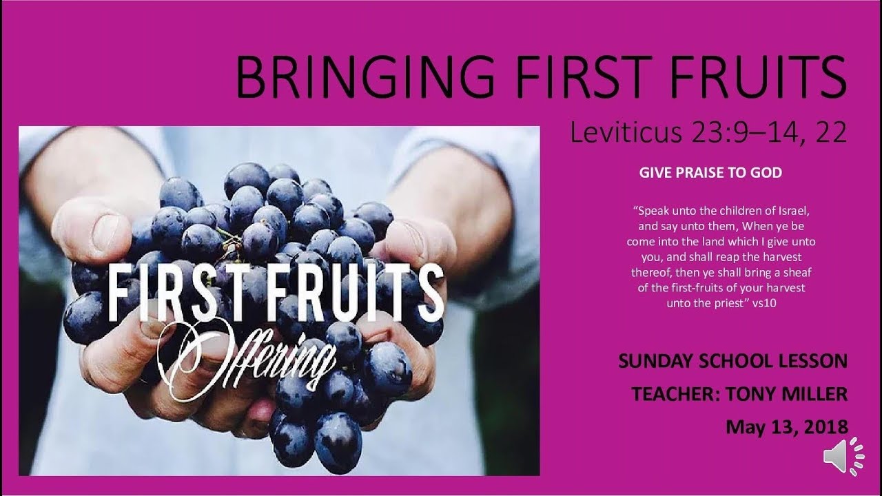 SUNDAY SCHOOL LESSON- MAY 13, 2018- BRINGING FIRST FRUITS- -Leviticus ...