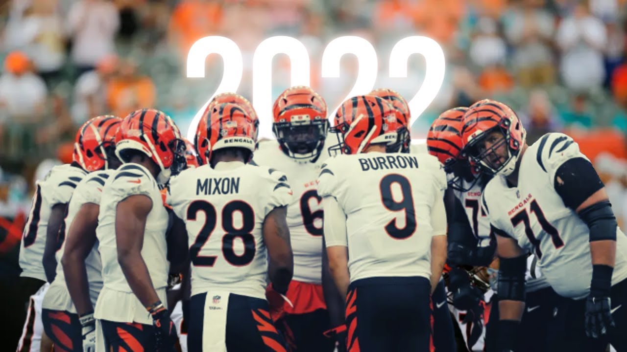 Cincinnati Bengals 2022 Highlights || Stars in The Sky - YouTube