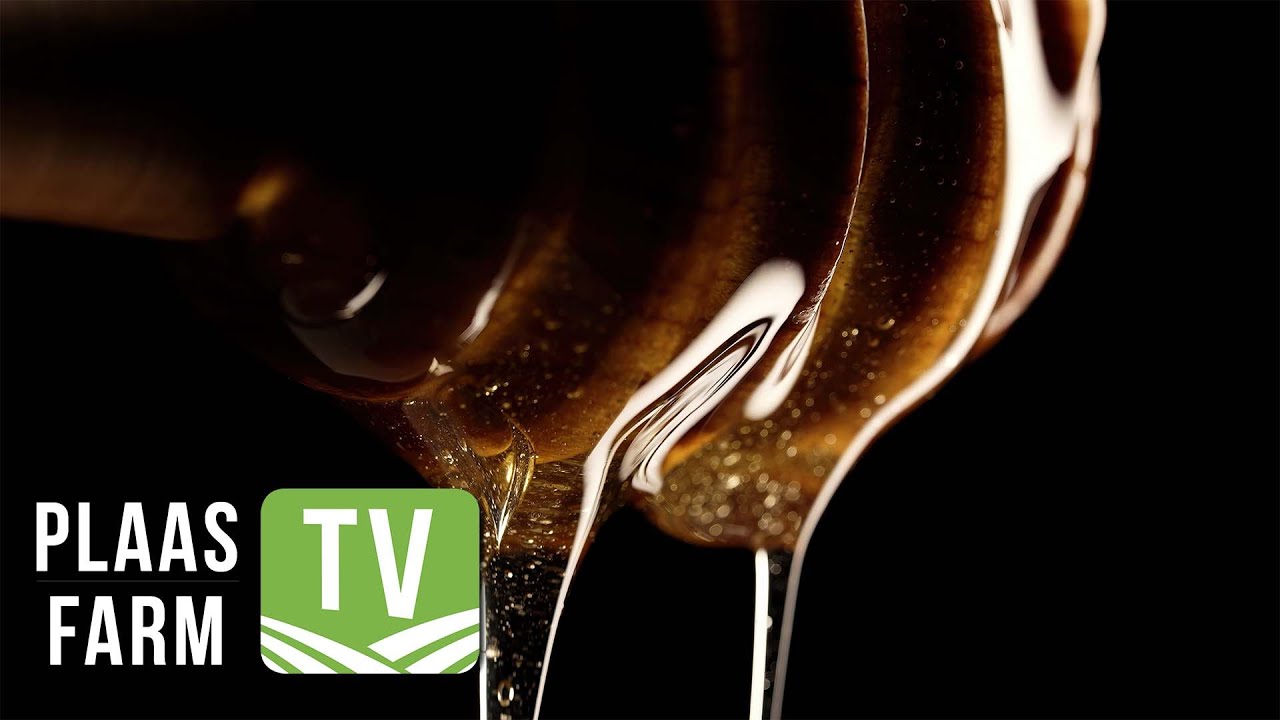 Bongi Bees: From corporate life to beekeeping - YouTube