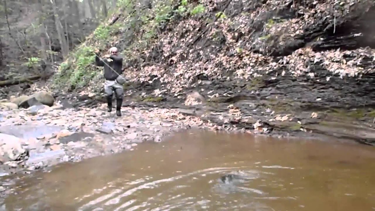huge fish, tiny creek, broken orvis fly rod - YouTube