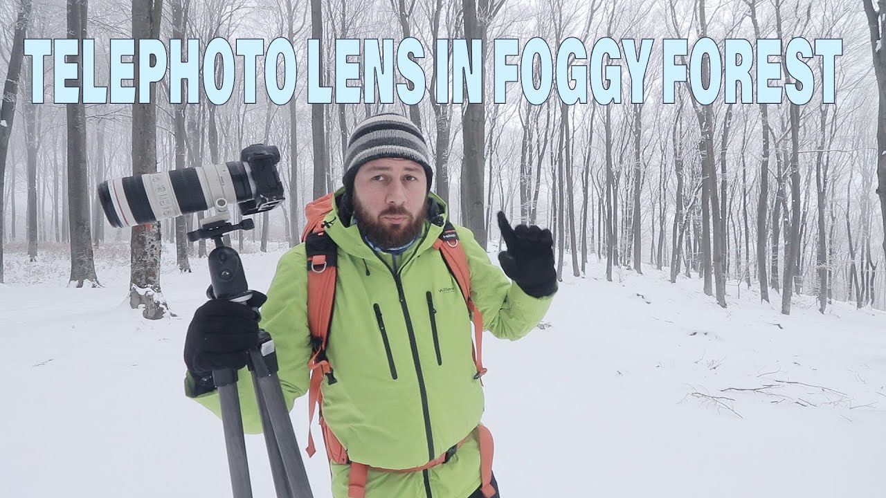 Landscape Photography - Using a Telephoto Lens in Winter Foggy Forest ...
