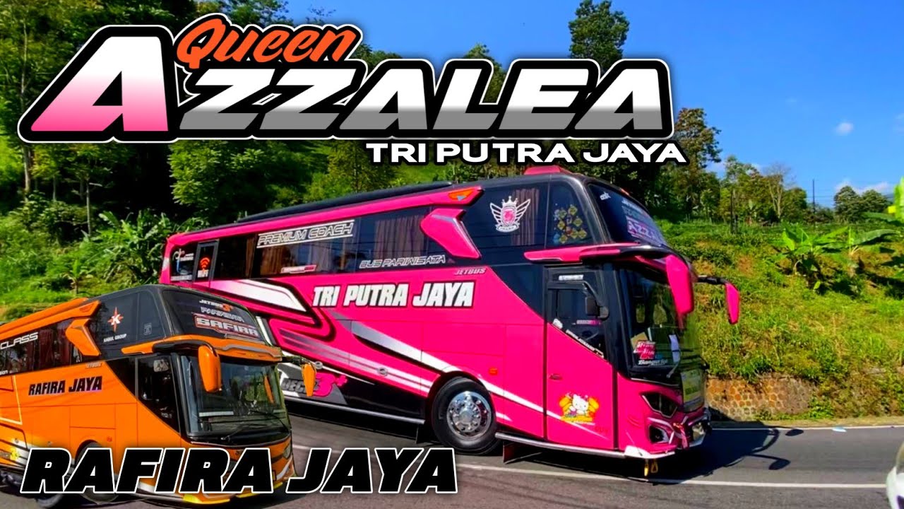 Azzalea pink ‼️hunting bus ketemu artis AZZALEA yang ngoyod banyak poll #basuri #busmania # ...