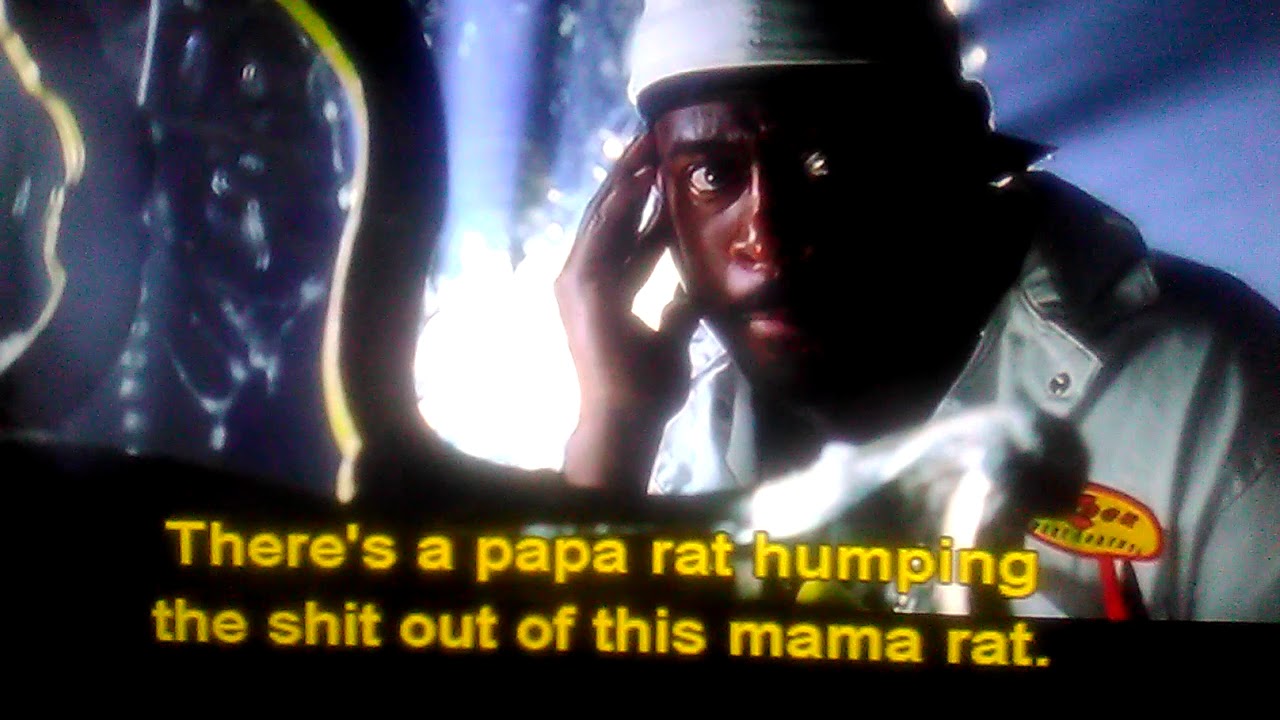 Bad boys 2 rats having sex - YouTube