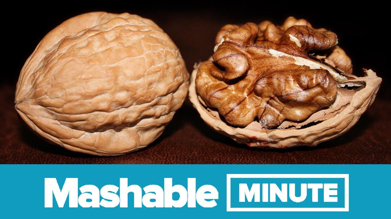 Unlock the Secrets of the Walnut | Mashable Minute | With Elliott ...