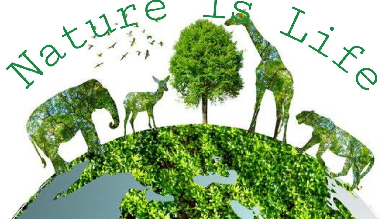 Nature is Life // প্রকৃতিই জীবন - YouTube