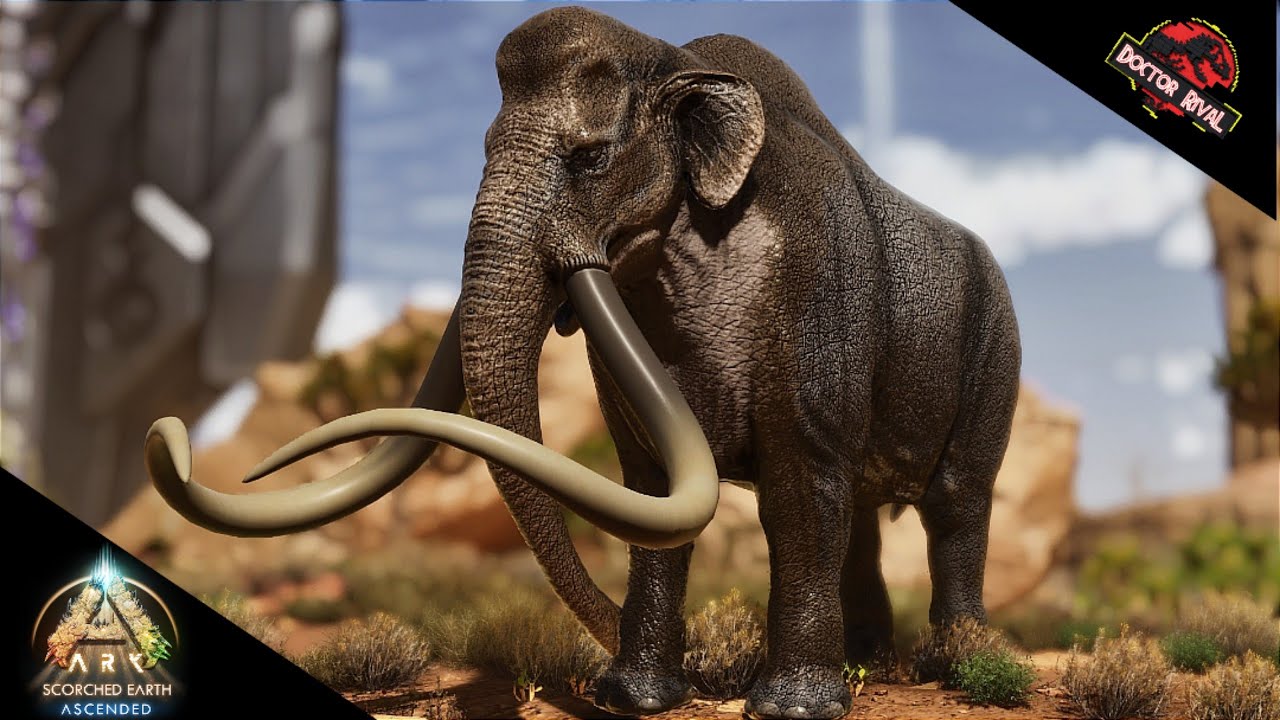 COLUMBIAN MAMMOTH Spotlight || Ark Scorched Earth Ascended - YouTube