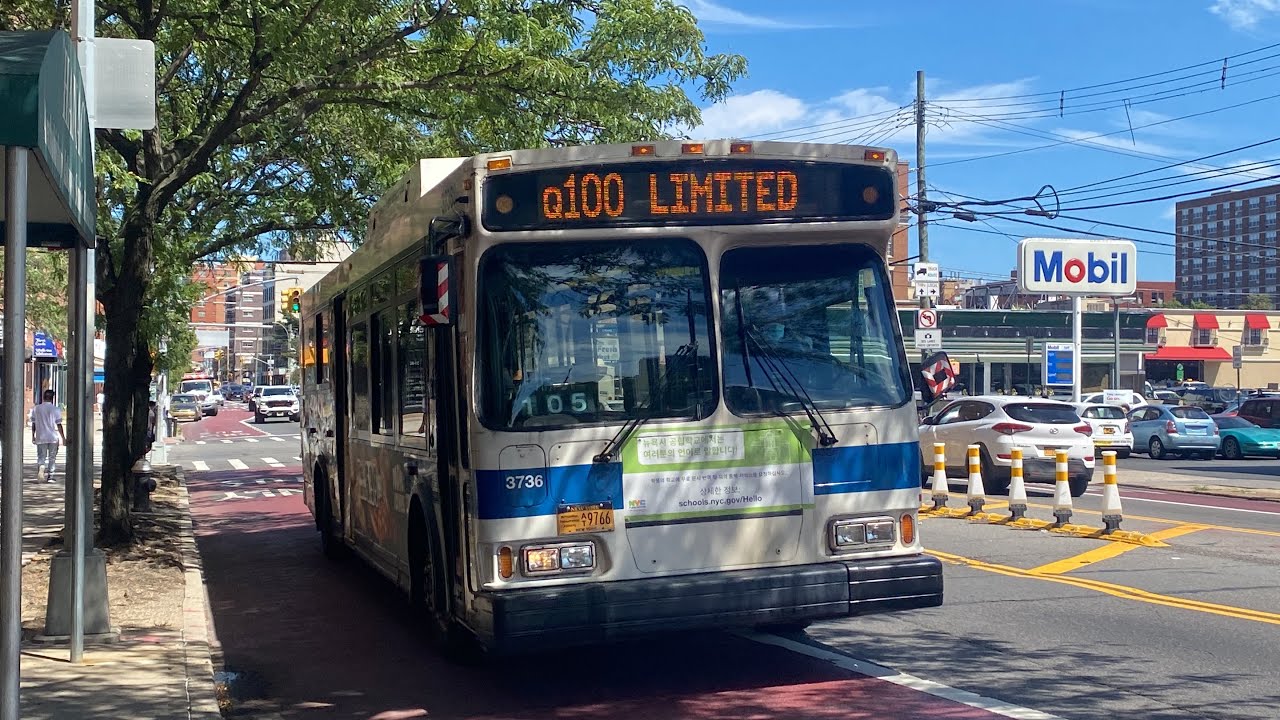 MTA Bus Company: Orion VII Gen II+ Hybrid #3736 Q100 Limited Departing ...