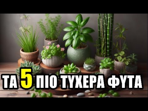 ΤΑ 5 ΠΙΟ ΤΥΧΕΡΑ ΦΥΤΑ - YouTube
