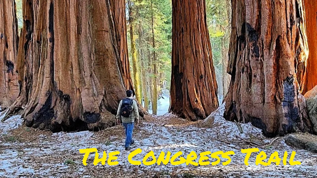 Hiking the Congress Trail In Sequoia National Park - YouTube