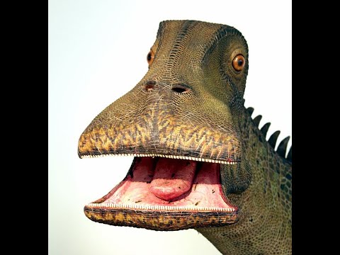 Beasts of Bermuda | 3.6 Karma Rex is Easy!!