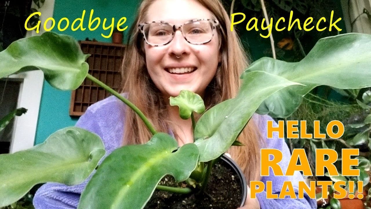 Goodbye paycheck....hello rare plants! - YouTube