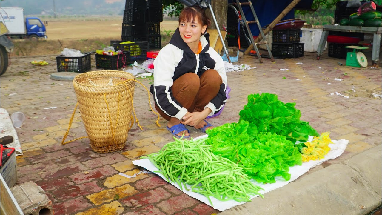 Harvesting Beans and Vegetables Pumpkin Flower Salad to Central Market ...