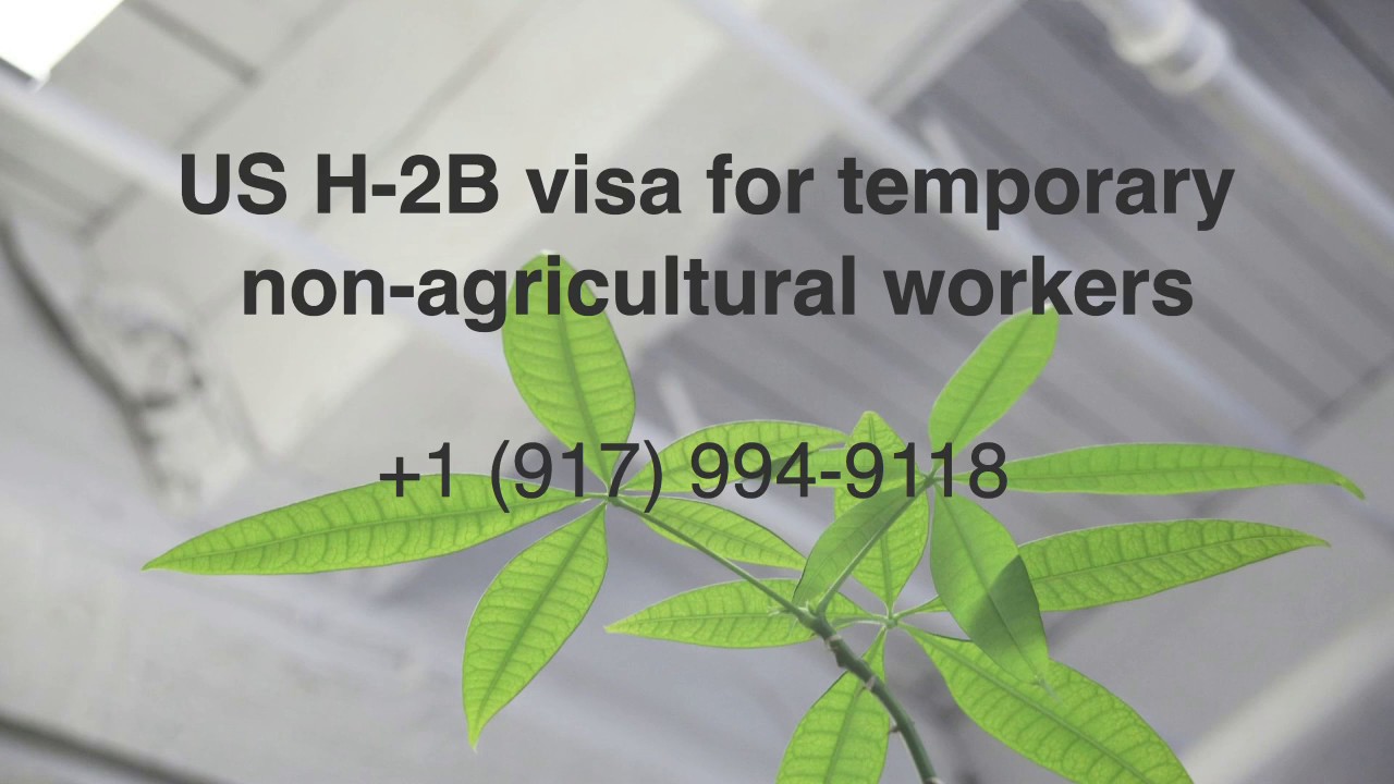 US H 2B visa for temporary non agricultural workers. - YouTube