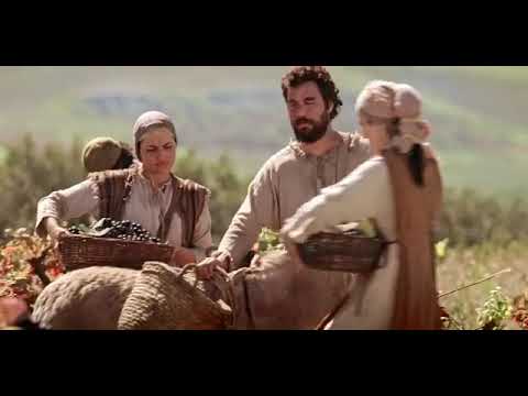 Matthew 20 The Parable of the Laborers In the Vineyard The Bible - YouTube