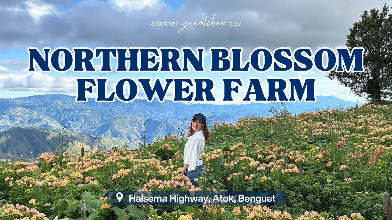 Northern Blossom Flower Farm Sunset & Sunrise | Transient House ...
