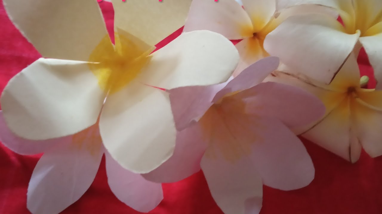 How to make very easy paper flowers plumeria obtusa/Champa. - YouTube