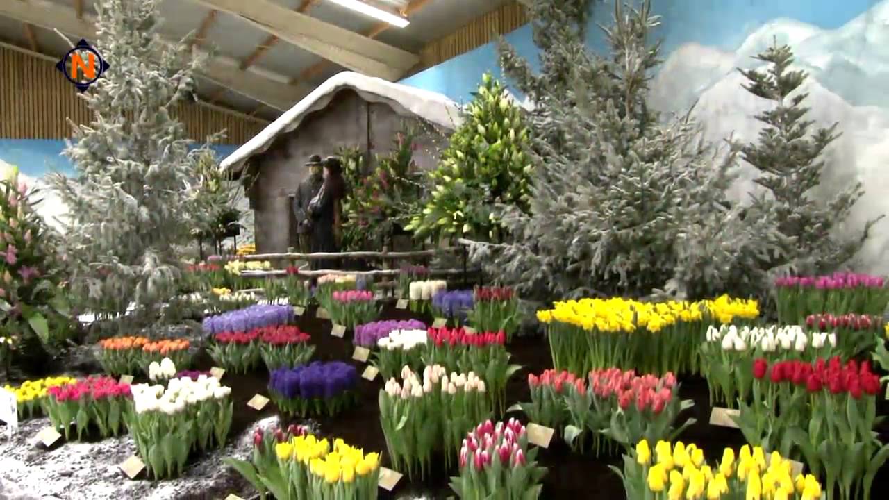 impressie lentetuin 2013 lente in tirol - YouTube