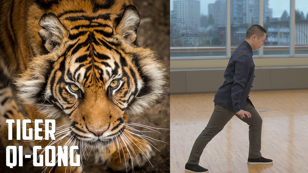 Five Animals Qi Gong - Tiger Form - Heal your Liver and Gall Bladder ...