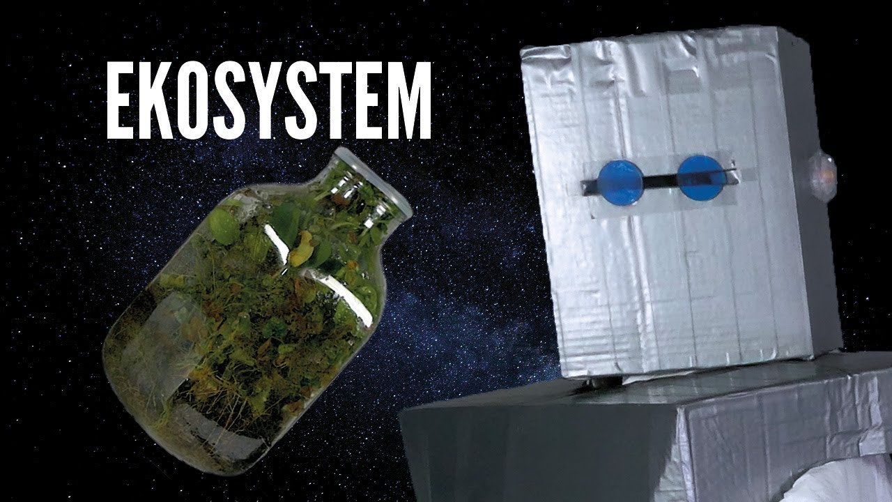 Molekylverkstans Rymdäventyr 2022 - 5. Slutet ekosystem - YouTube