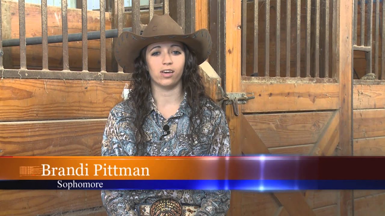 Brandi Pittman - YouTube