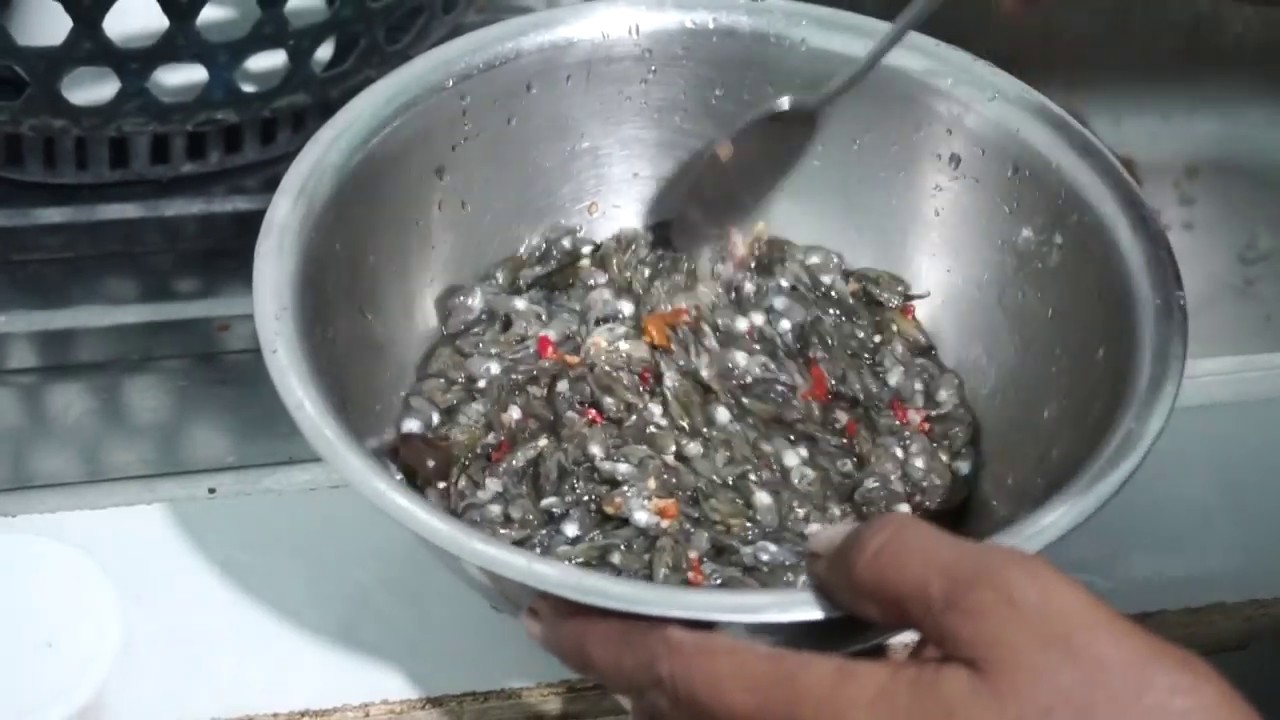 how to cook the tadpole. ( cách chế biến nòng nọc thành một món ăn ...