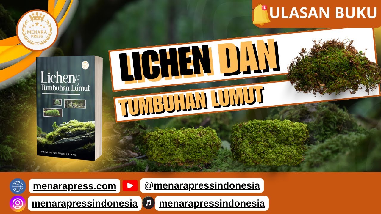 Lichen dan tumbuhan lumut - YouTube
