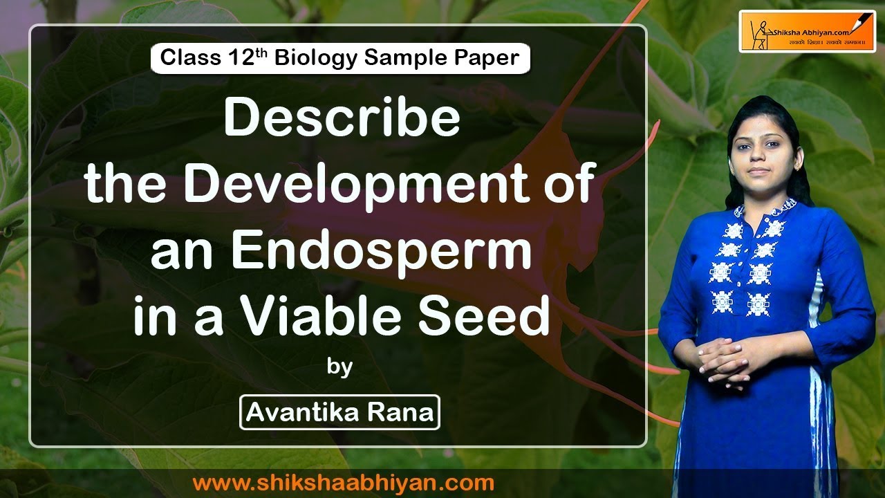 Q42 Describe the development of an endosperm in a viable seed.-#CBSE ...