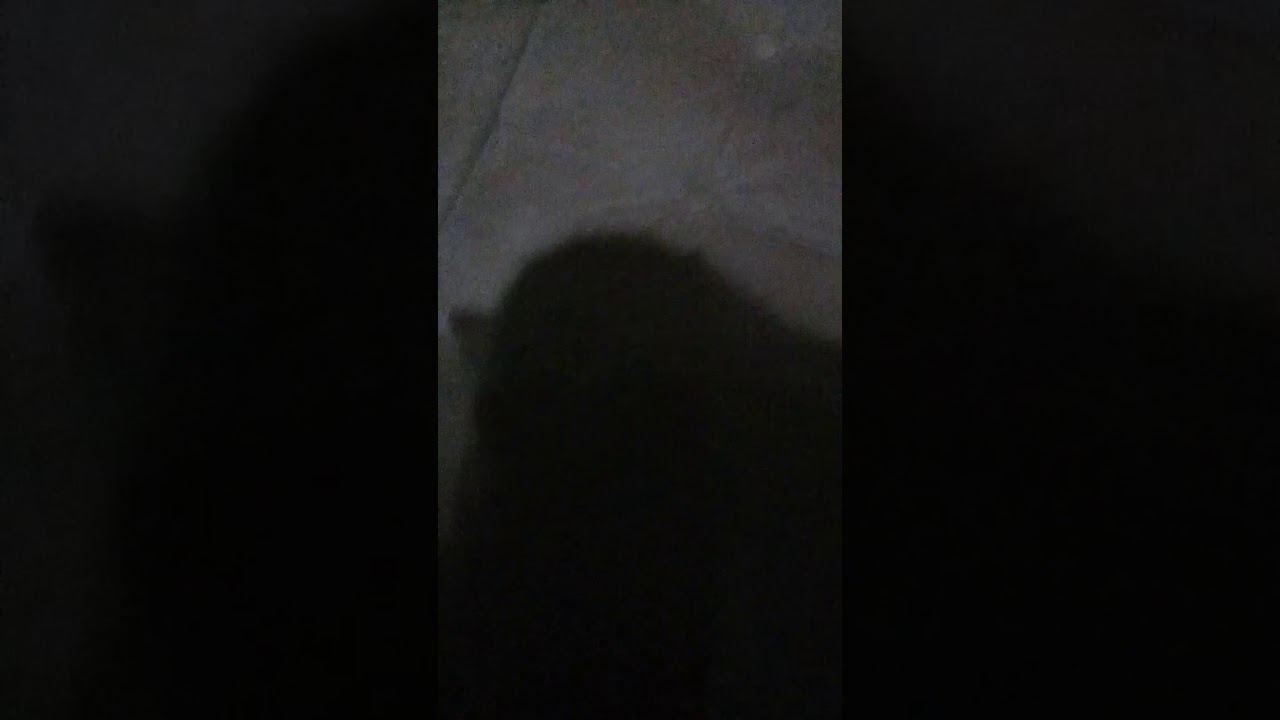 😺😺😺👍💜💜💜💤 - YouTube