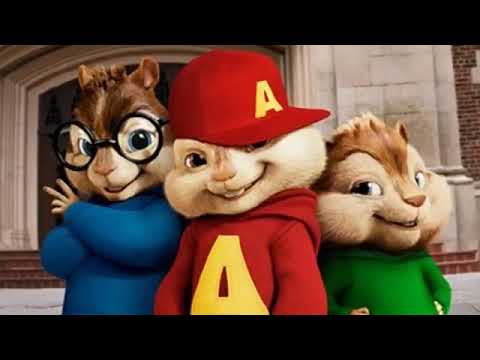 Burun duklar Alvin