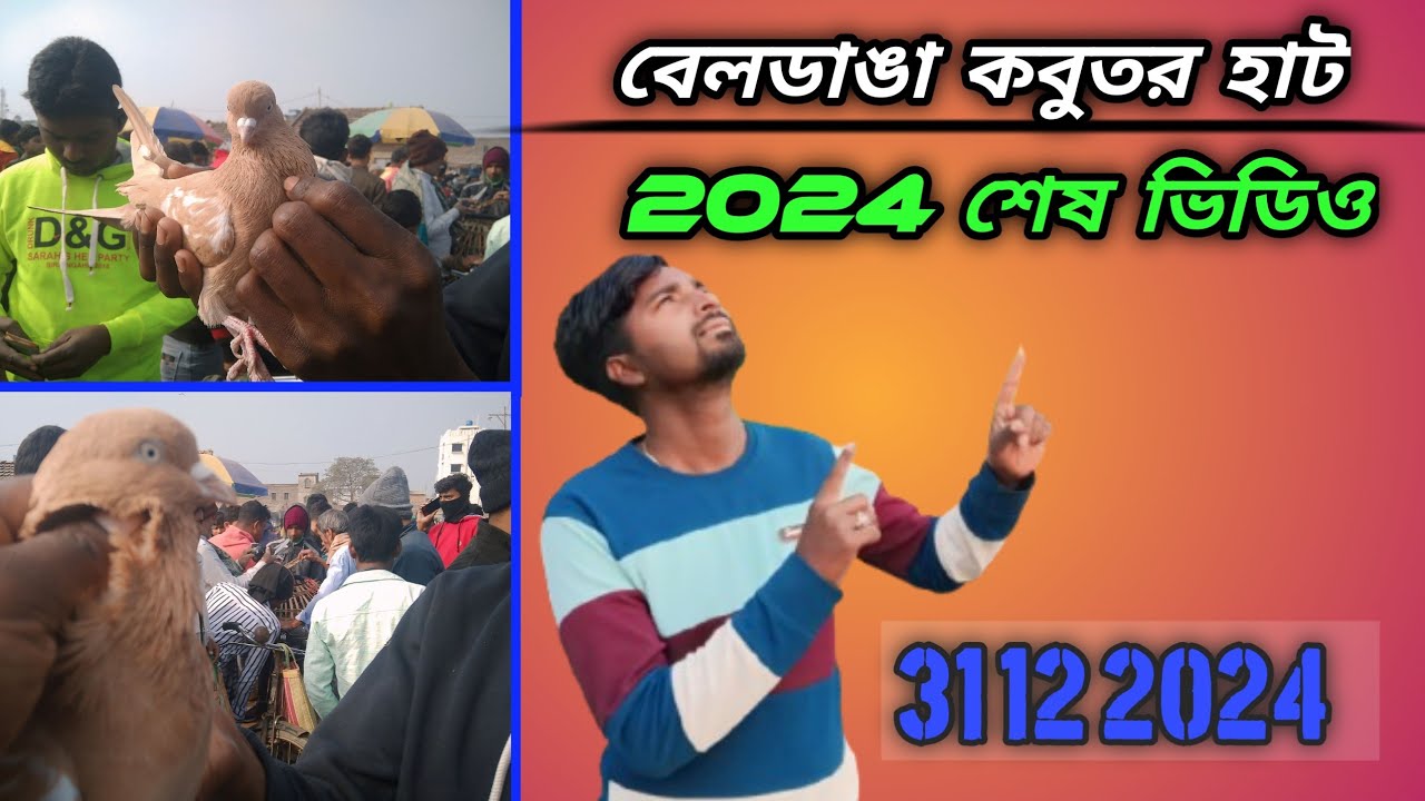 কবুতর হাট 31/12/2024 /Beldanga hat Mursidabad,👉 Beldanga pigeon market🐦 ...