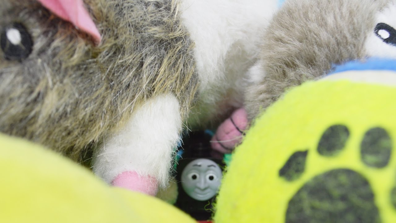 DOG TOYS World's STRONGEST Engine 199: THOMAS AND FRIENDS Toy Trains ...