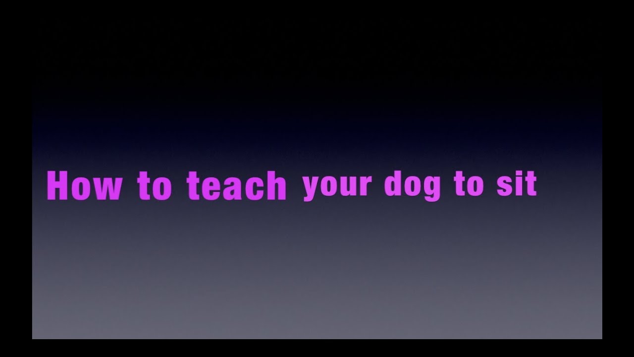 How To Teach Your Dog To Sit YouTube how-to-teach-your-dog-to-sit-youtube
