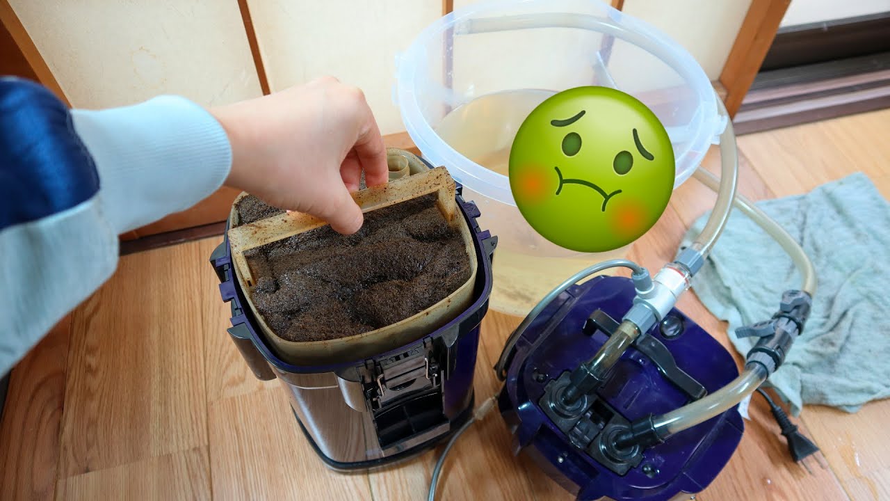 How Dirty is My Aquarium Canister Filter After 1 Year?? - YouTube