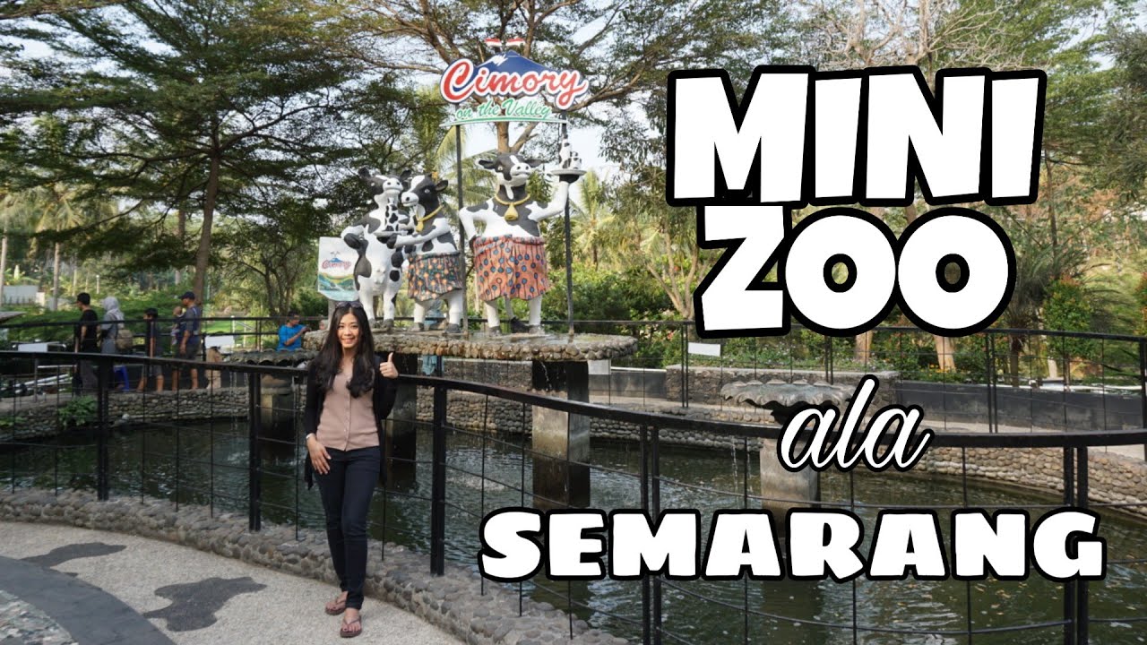 MINI ZOO ALA SEMARANG | LITTLE VLOG #1 - YouTube